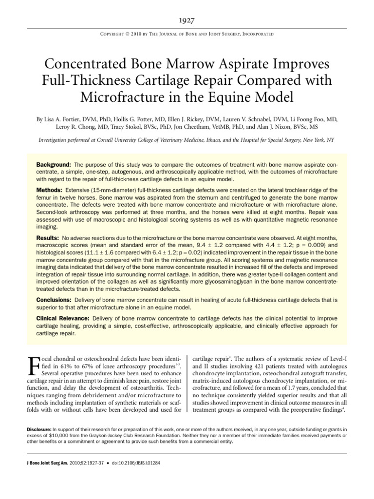 Horse Microfracture 02 | PDF