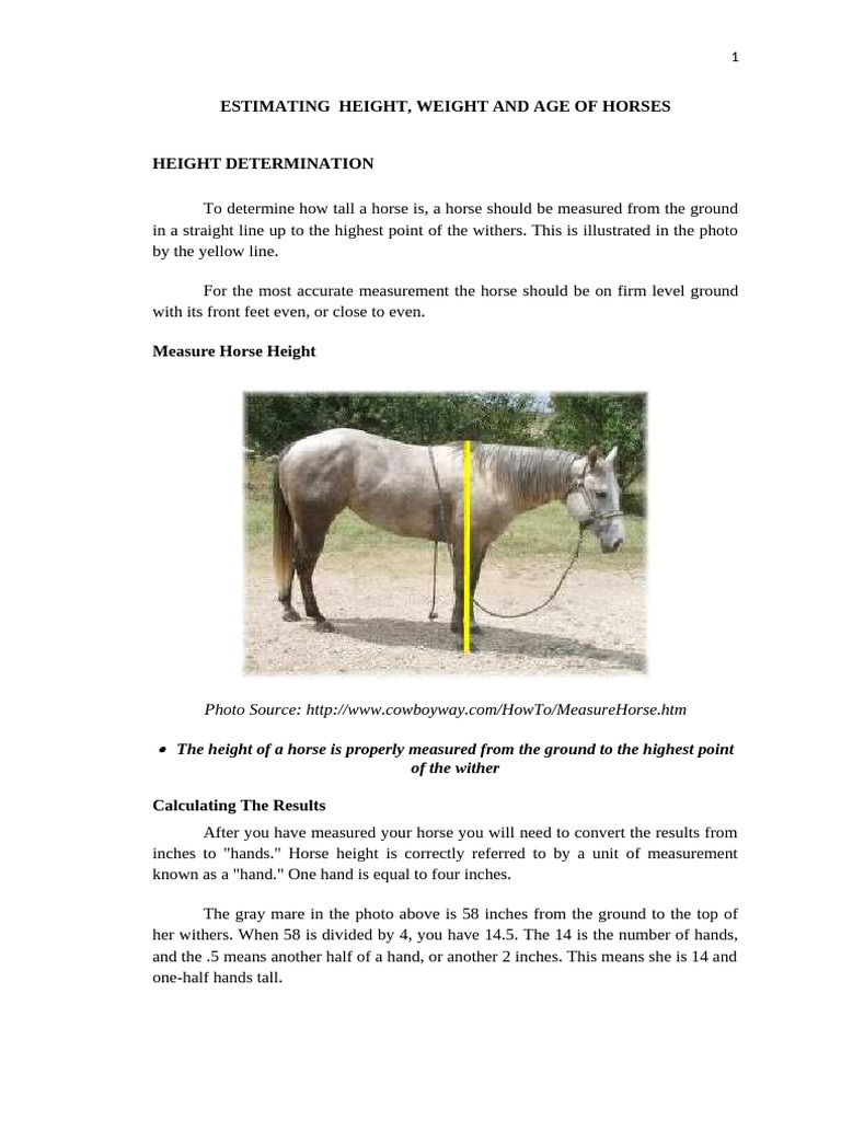 3 Height Weight Age of Horses | PDF