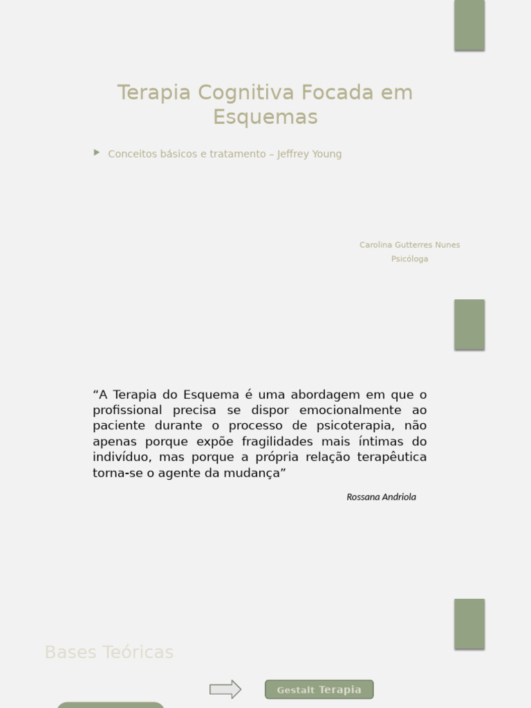 PPP Terapia Do Esquema | PDF
