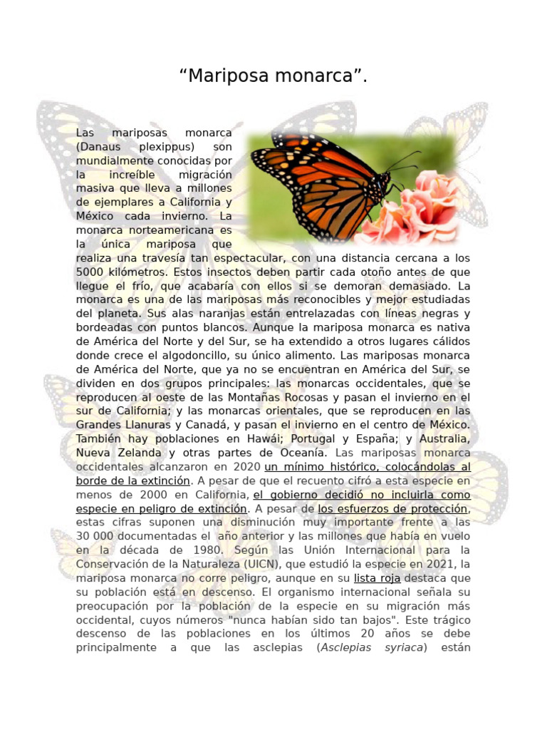 Mariposa Monarca | PDF