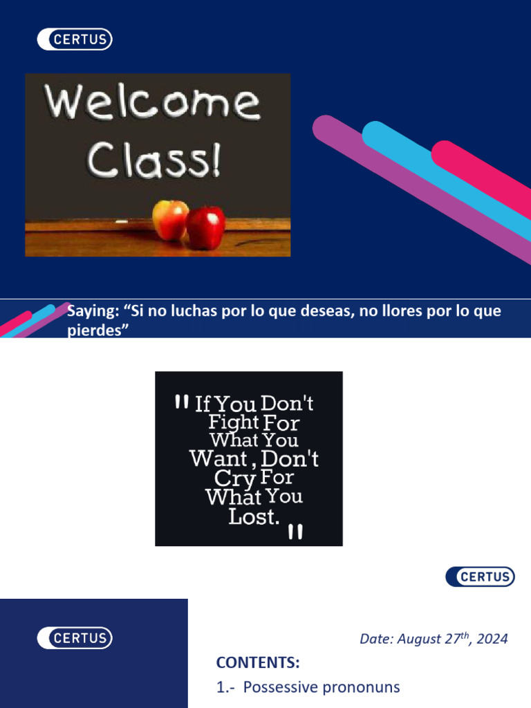 Understanding Possessive Pronouns Pdf