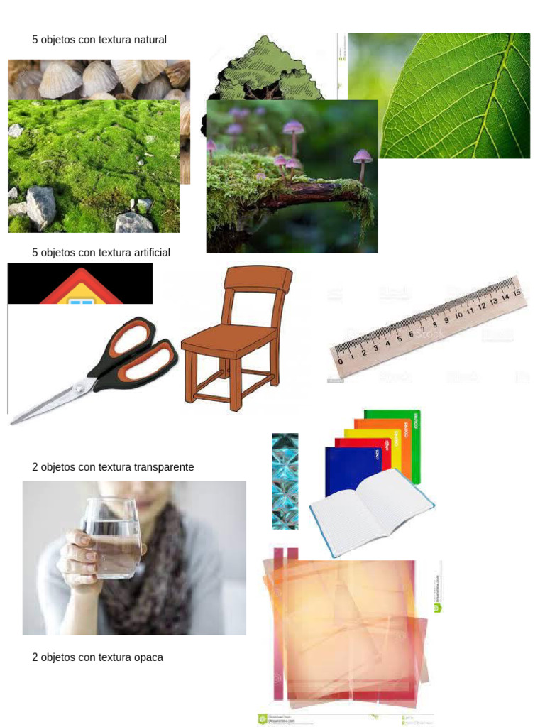 5 Objetos Con Textura Natural | PDF