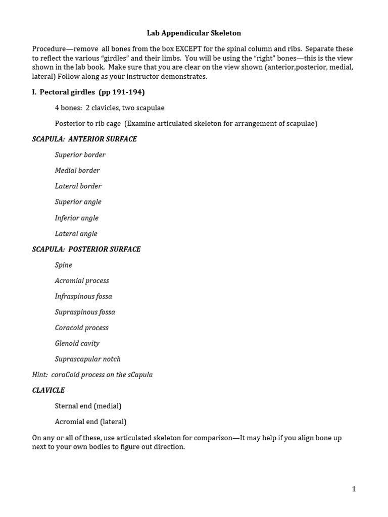 Lab Appendicular Skeleton Student Outline | PDF