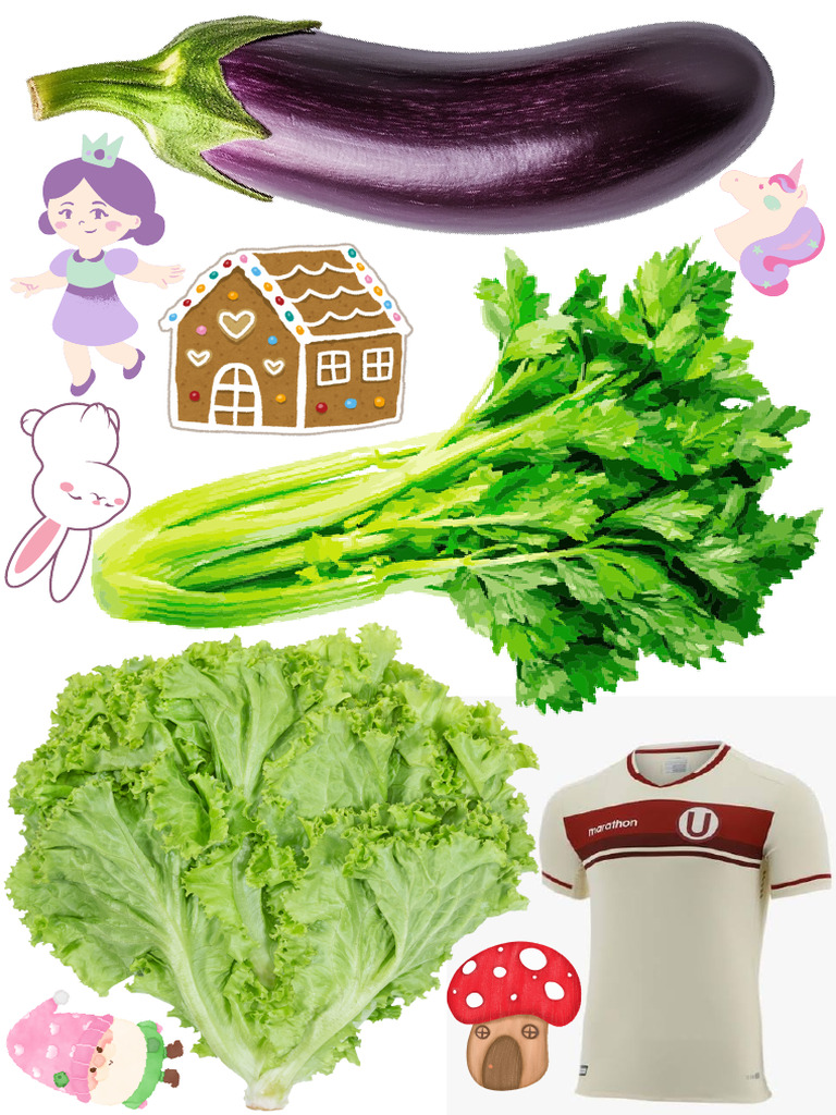 Ailany 20240808 205953 0000 | PDF