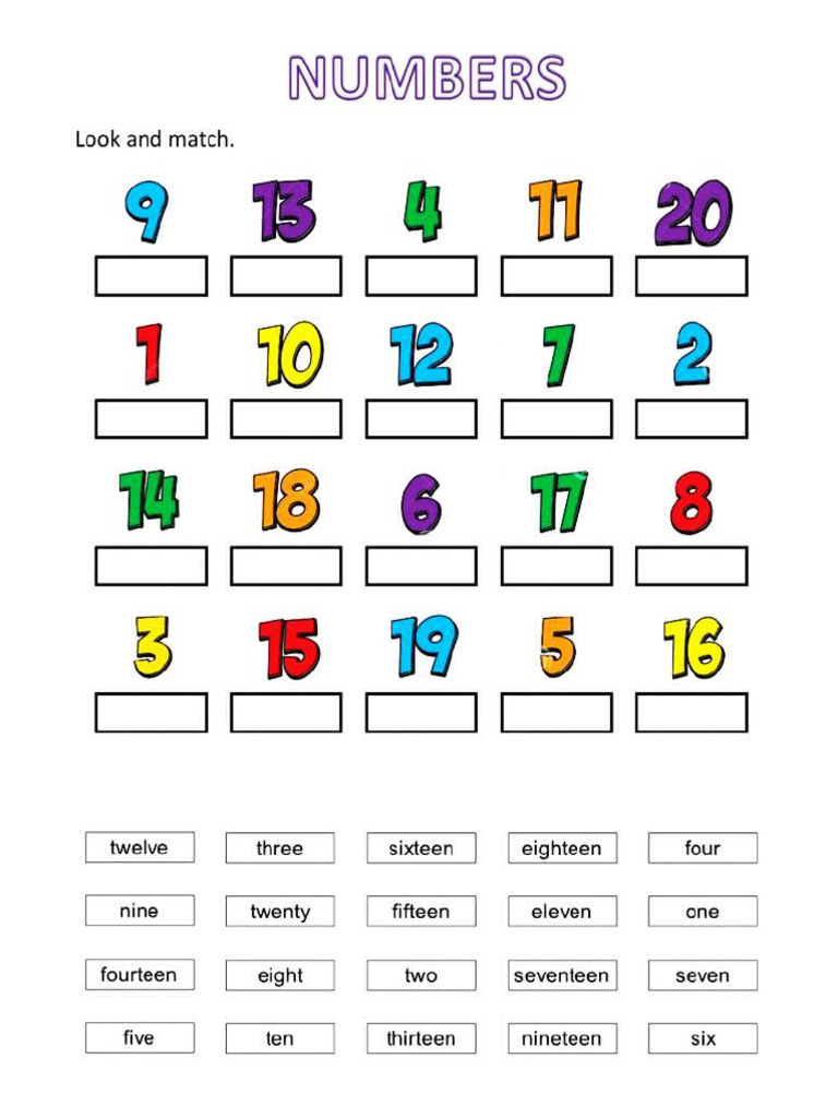 Numbers Worksheet | PDF