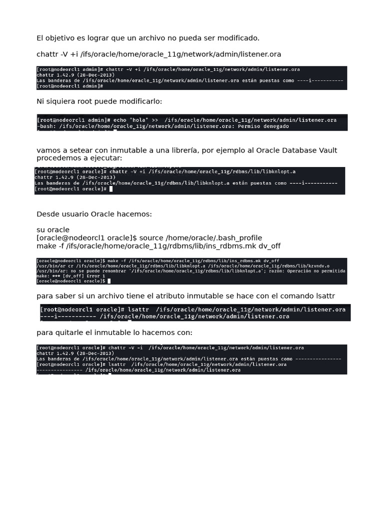 02 Inmutable Files | PDF