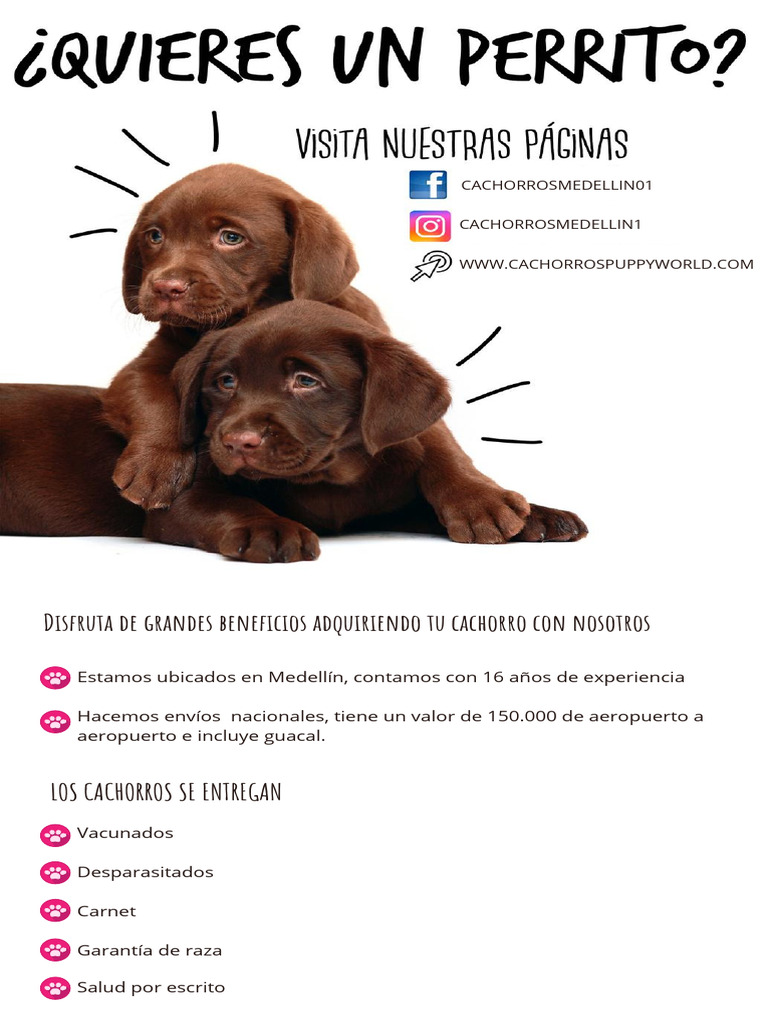 ¿Quieres Un Perrito? | PDF