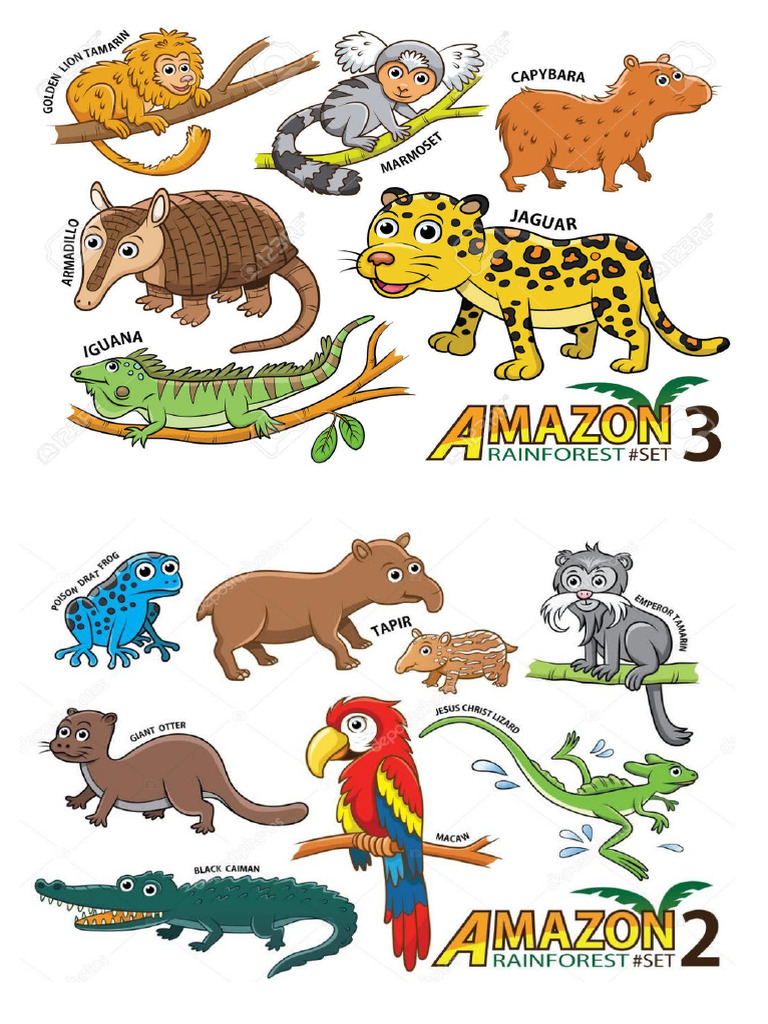 Fauna y Flora Del Amazonas | PDF