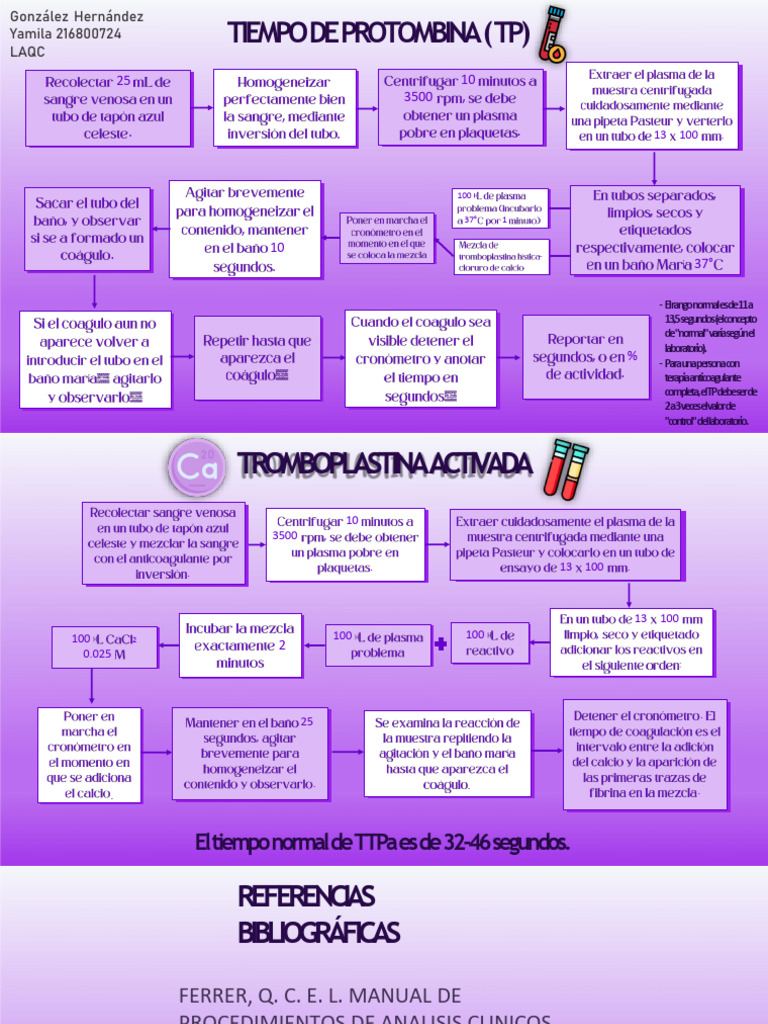 Diagrama de Flujo TP y TPT | PDF