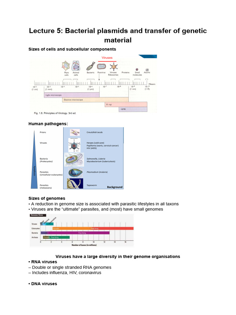 BMS1062 - WK 3 | PDF