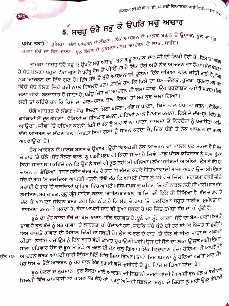 Punjabi Essay Class X | PDF
