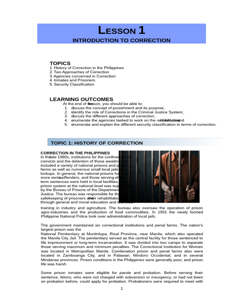 Institutional Correction | PDF