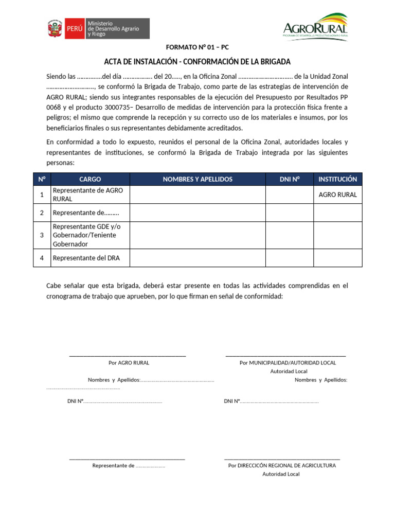 Formato N | PDF