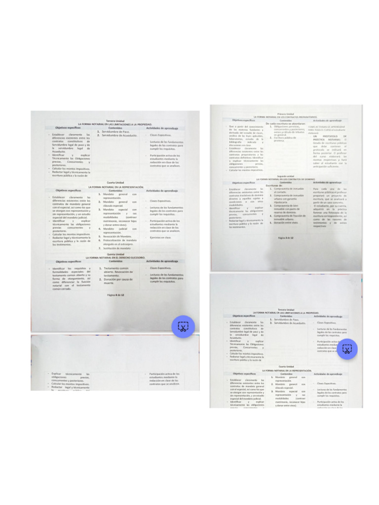 Programa Notarial | PDF