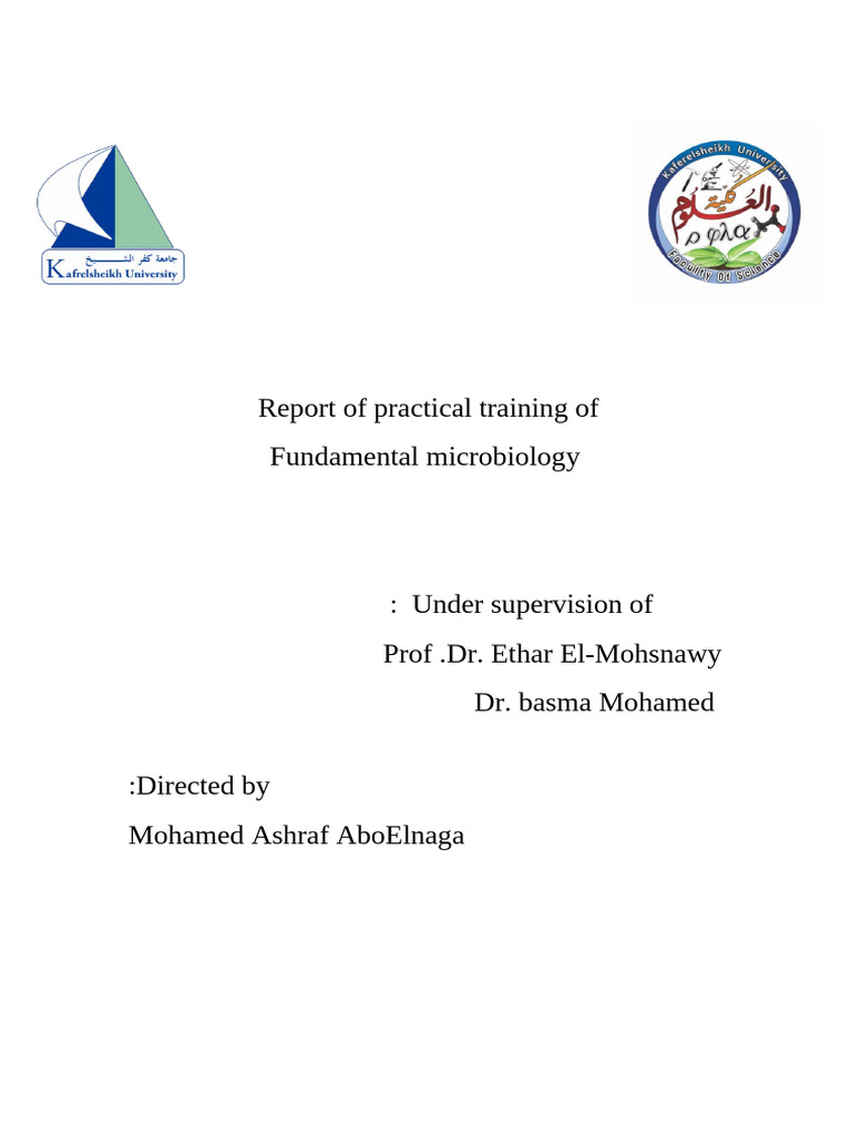 نسخة Report of Practical Training Of | PDF