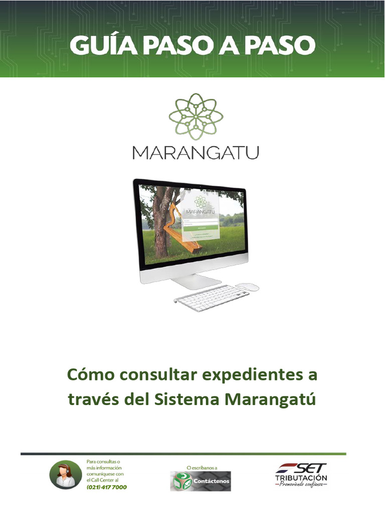 Consultas en el Sistema Marangatú | PDF