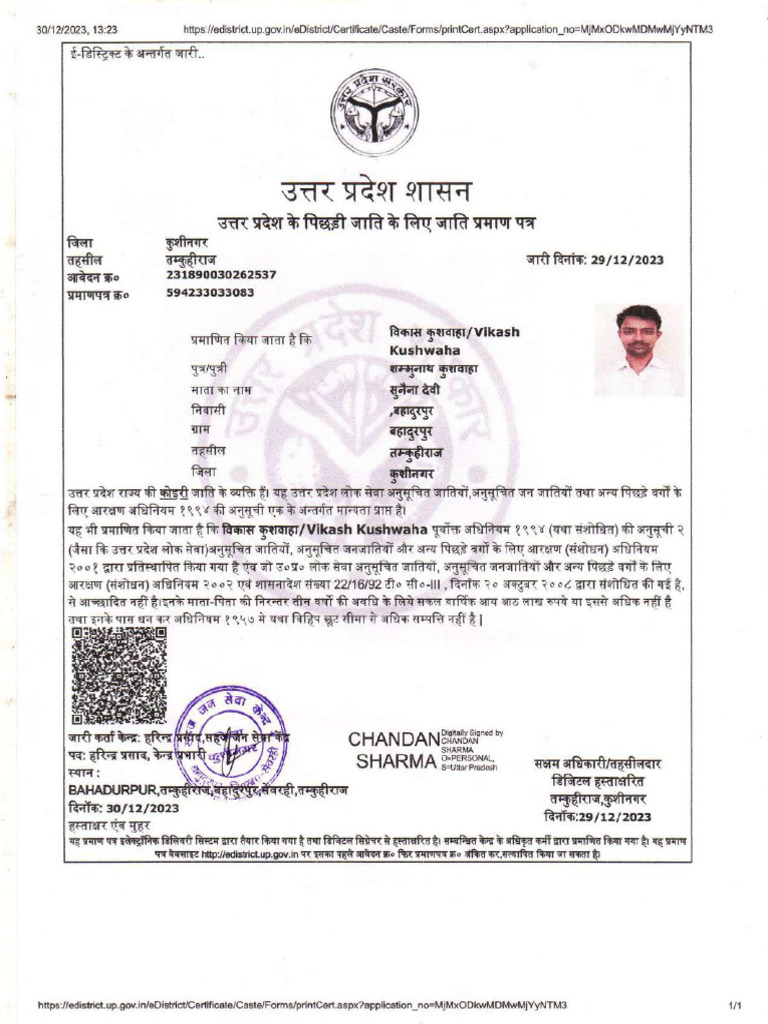 Vikas Caste - Compressed | PDF