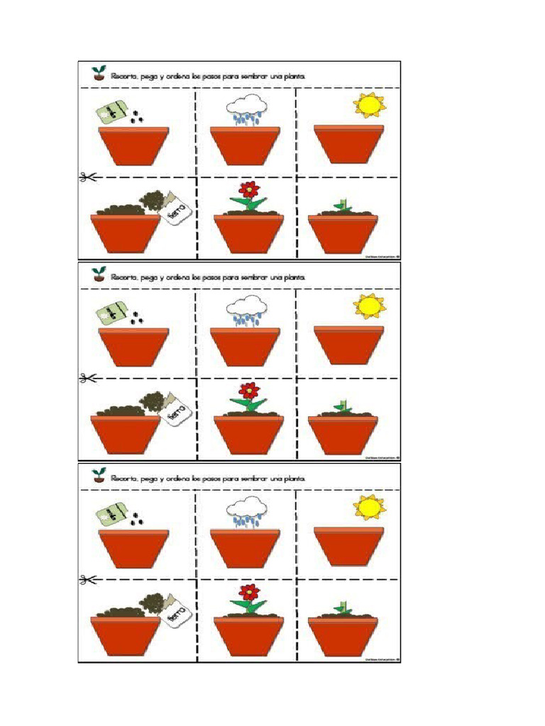Act Como Sembrar Una Planta | PDF