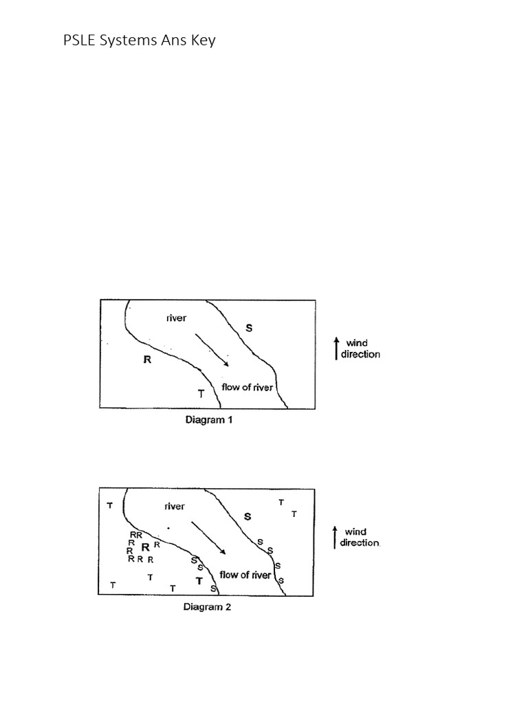 PSLE Systems Ans Key | PDF