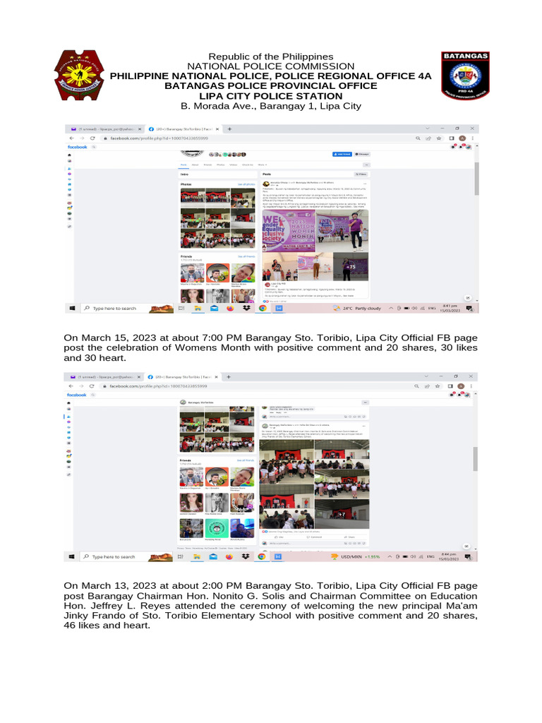Facebook Screenshots 2 | PDF