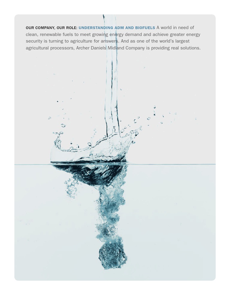 ADM and Biofuels Brochure Lores | PDF | Biofuel | Biodiesel