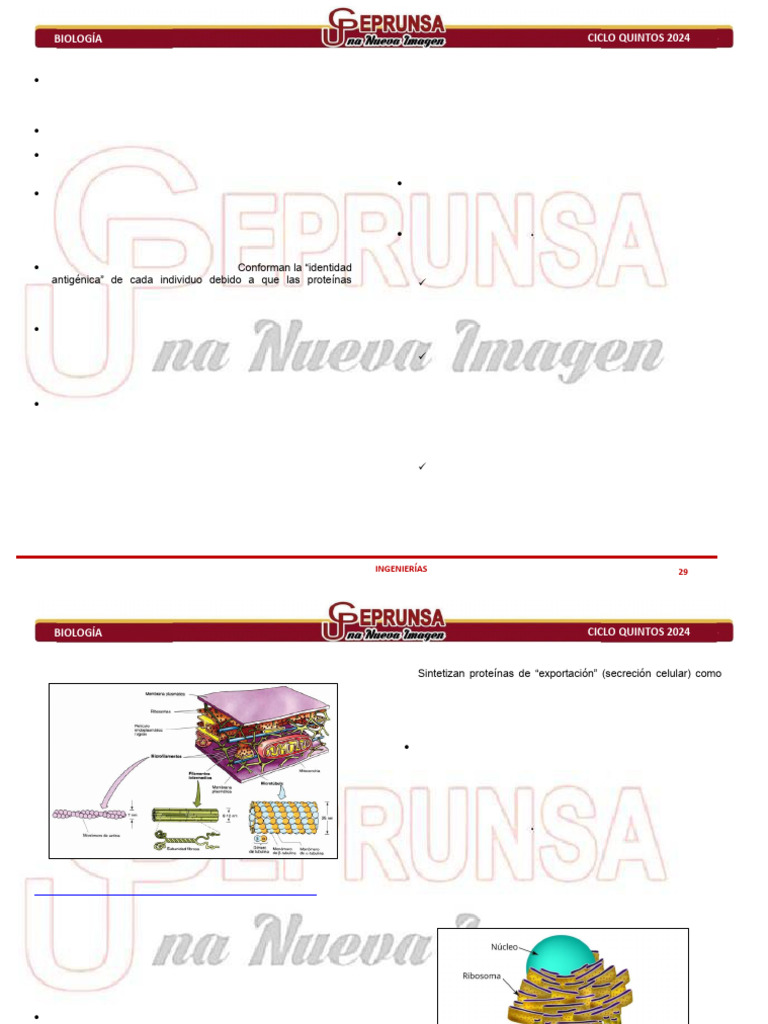 Cito Plasma | PDF