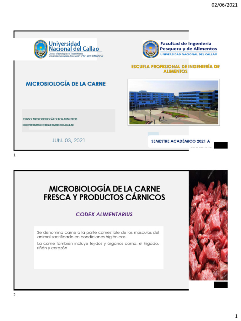 Cap #5 Microbiología de La Carne | PDF