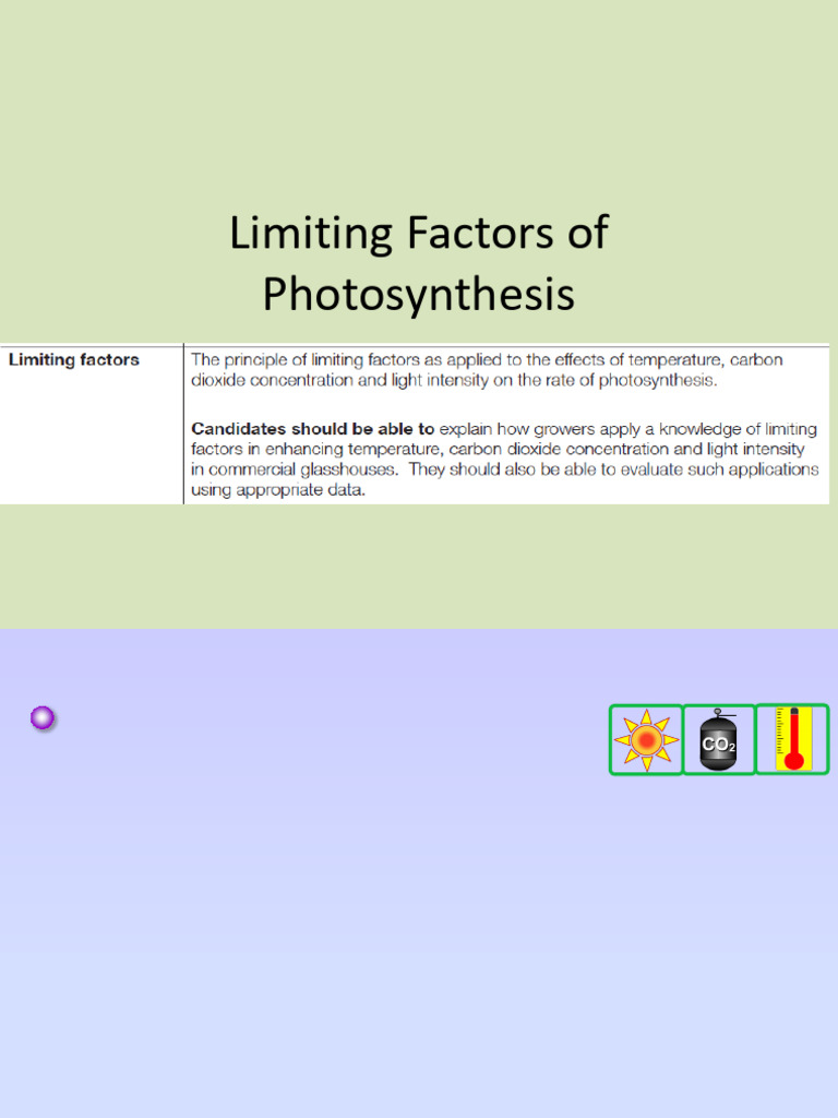 Limiting Factors Photosynthesis | PDF