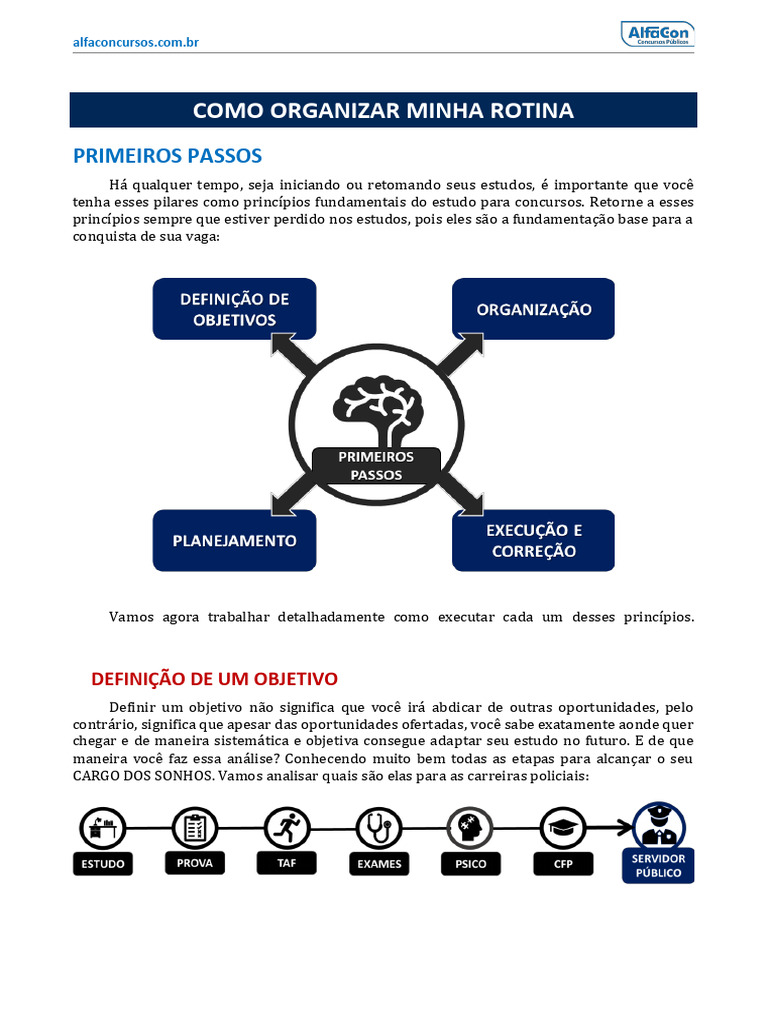 Como Organizar Minha Rotina | PDF