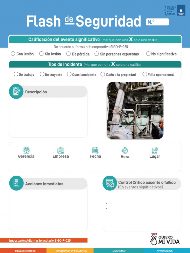 Flash De Seguridad N 010 Pdf