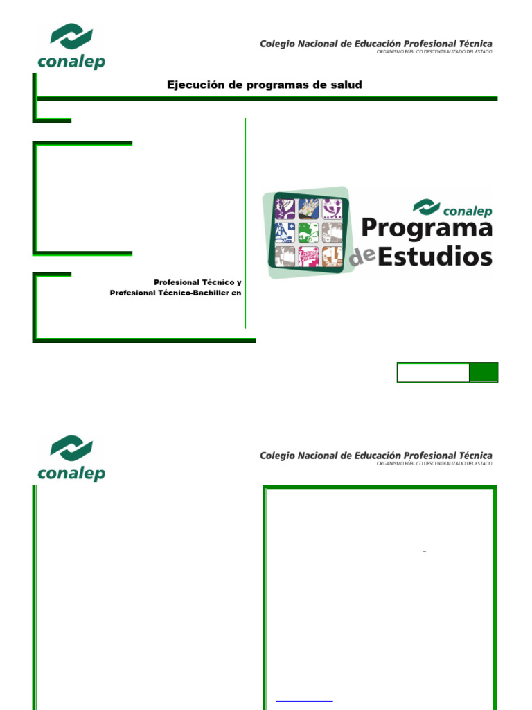 Ejecucion de Programas de Salud P | PDF