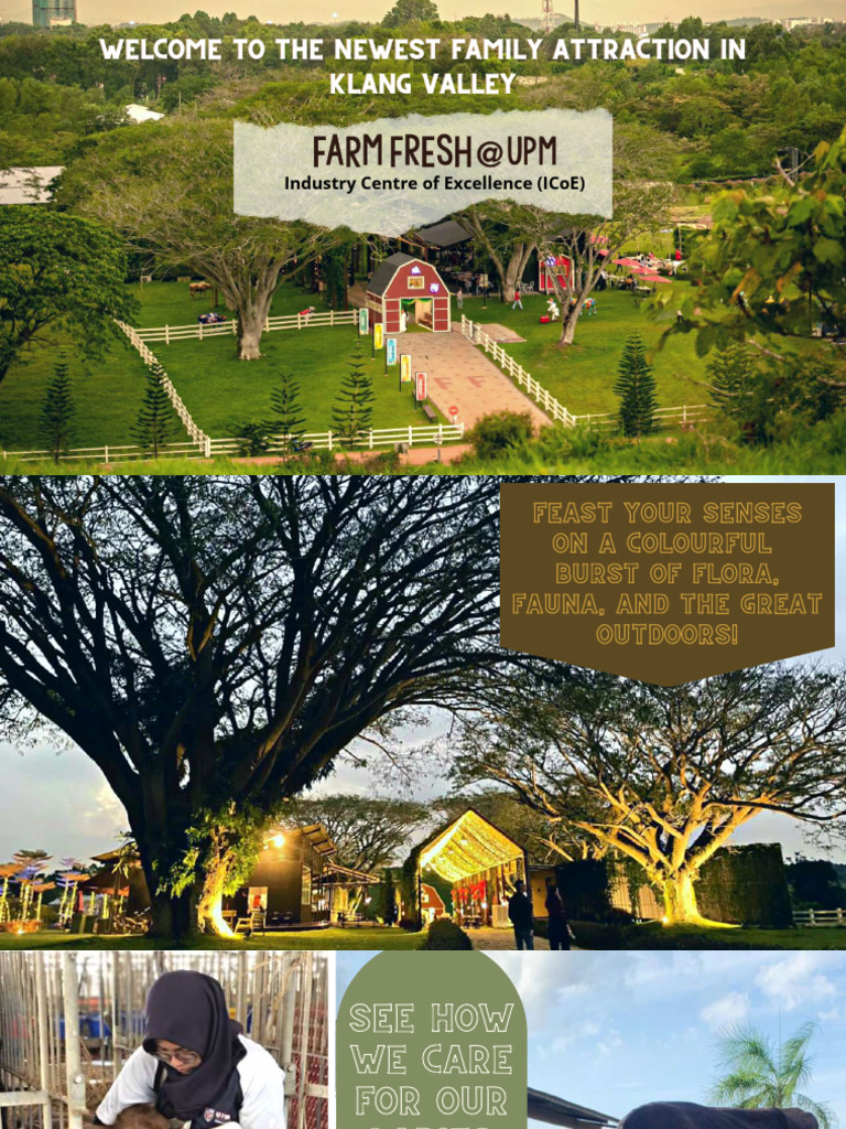 brochure ladang farm fresh | PDF