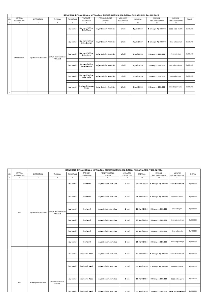 RPK Remaja 2024 | PDF