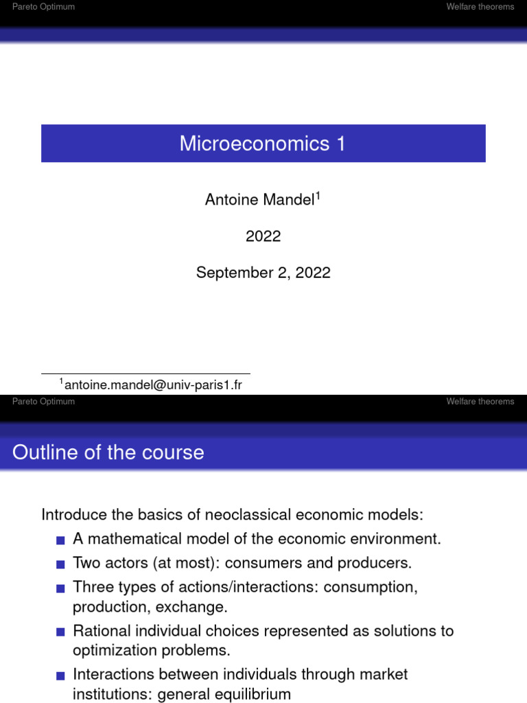 Slides Micro 2022 | PDF