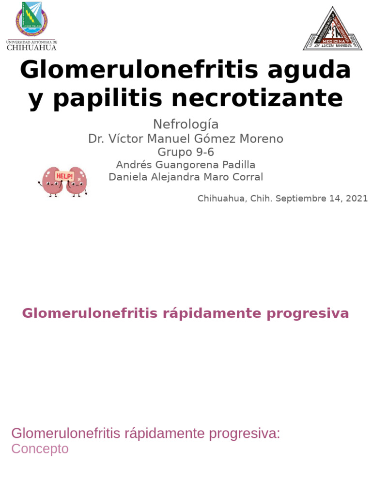 Glomerulonefritis Rapidamente Progresiva y Papilitis Necrosante | PDF