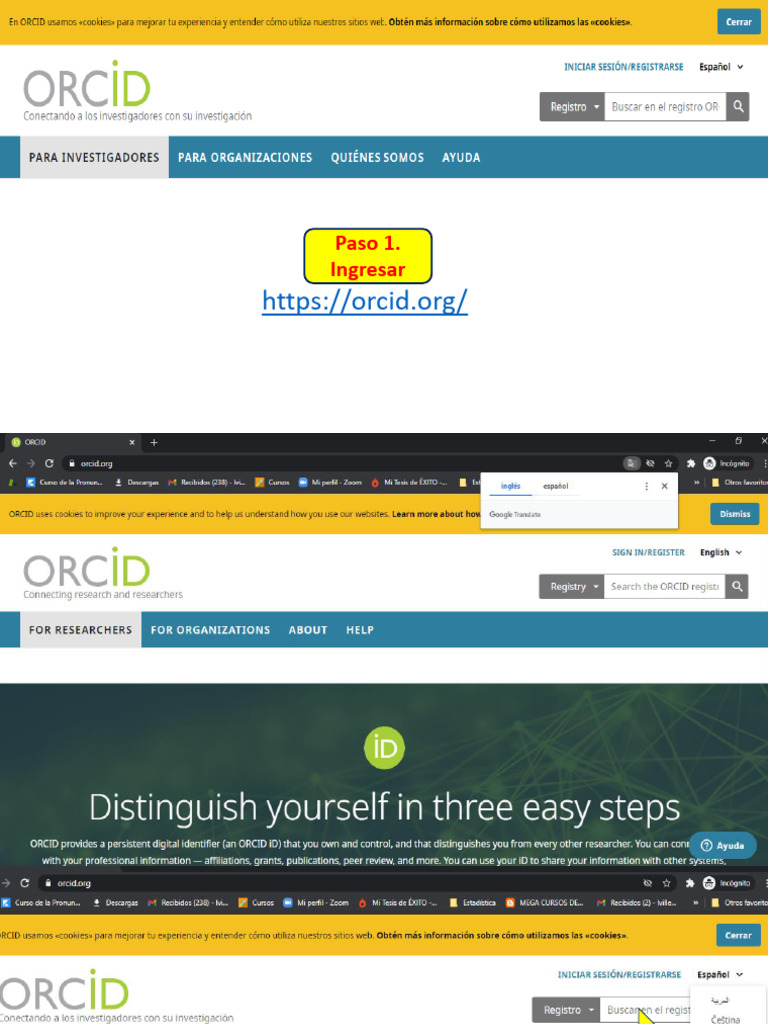 Manual Registro ORCiD - S | PDF