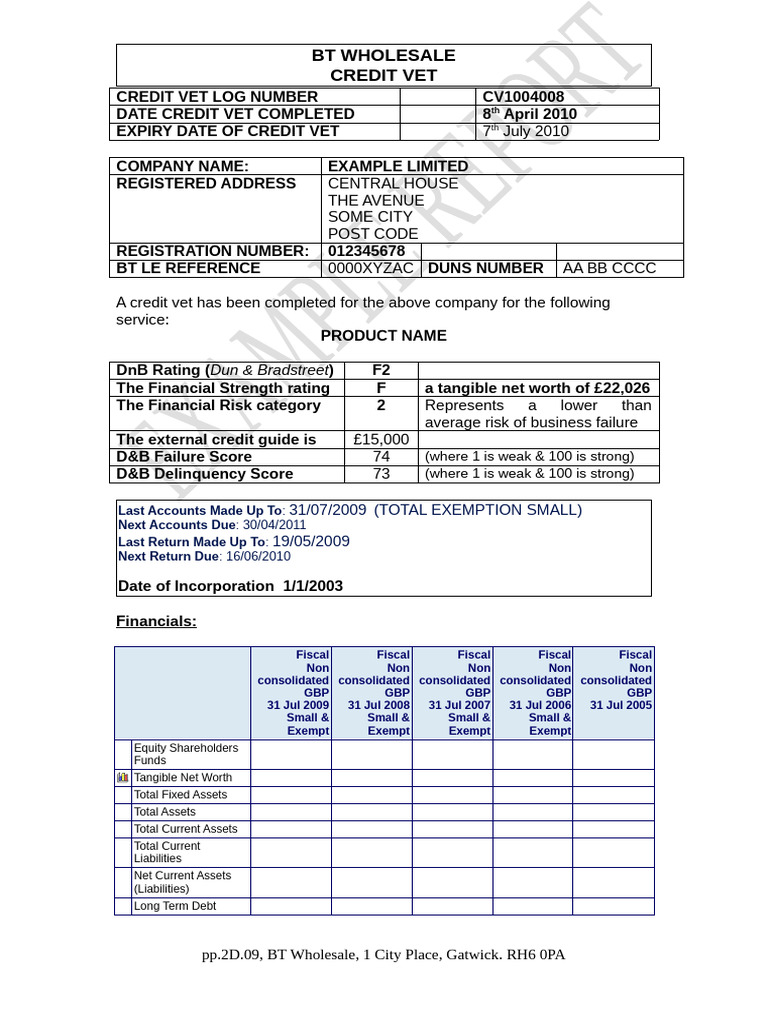 Credit_Vet_Report_sample_Clean_0410 | PDF