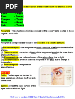 IGCSE Eye: Sense Organs Overview | PDF | Eye | Retina