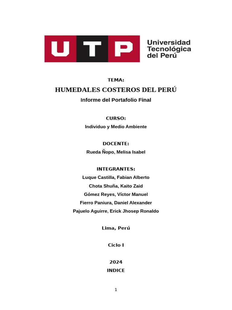 Avanze de Informe | PDF