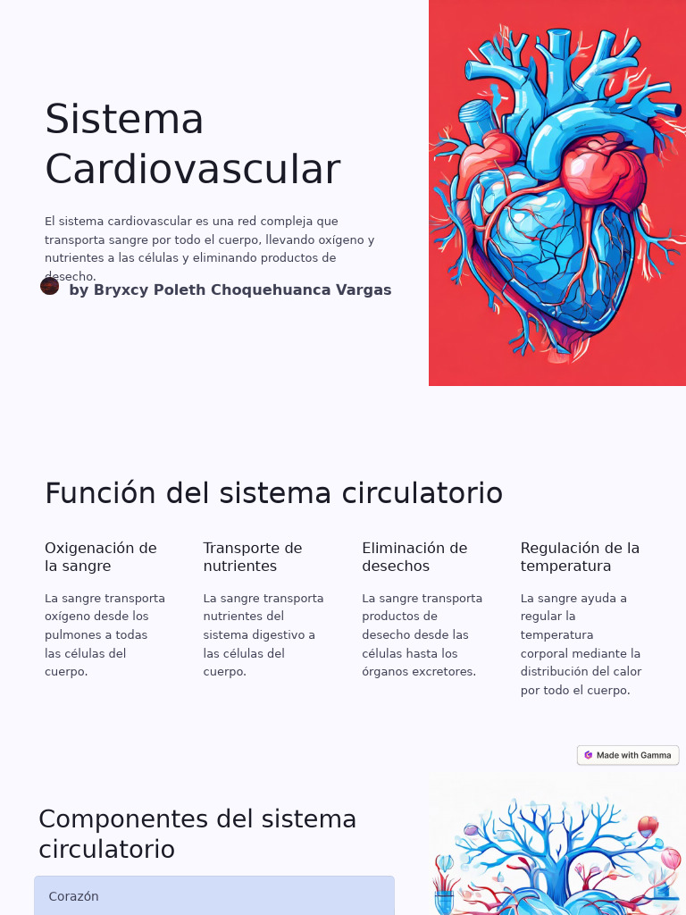 sistema circulatorio | PDF