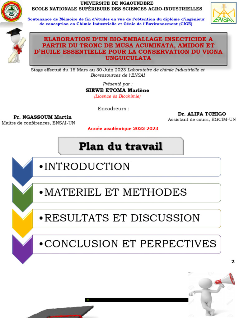 Siewe 11 - 100112 | PDF