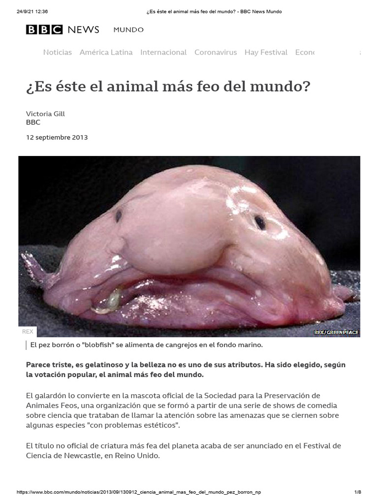 El Pez Borrón, El Animal Más Feo Del Mundo, BBC, 2013 | PDF | Libros ...