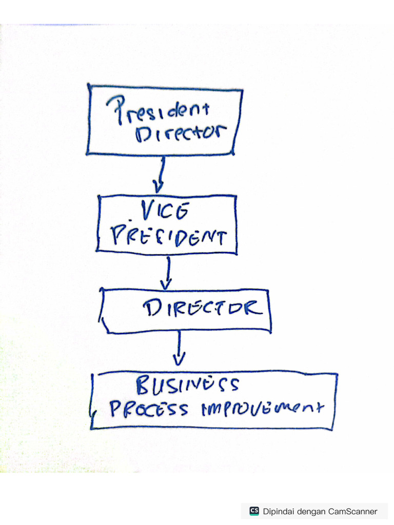 Struktur Organisasi Business Process Improvement | PDF