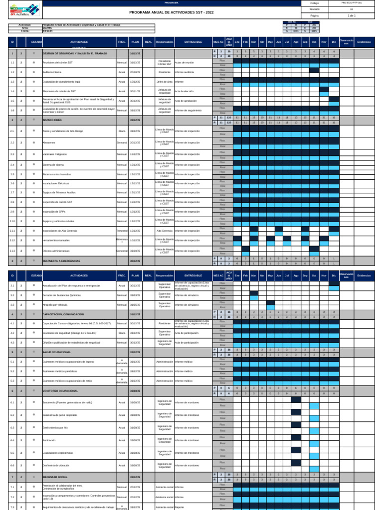 PRG-ECO-PTF-001 Programa Anual de Actividades | PDF