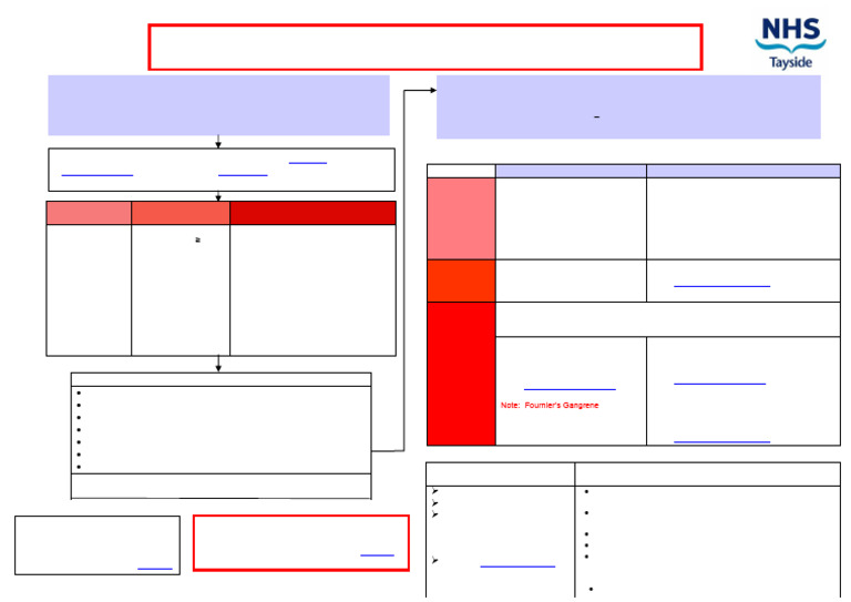 Cellulitis Management in Adults | PDF