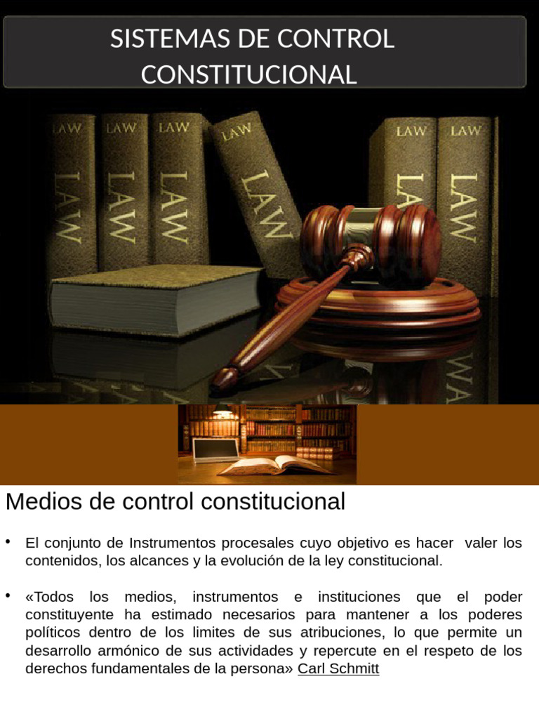 Sistemas de Control Constitucional | PDF