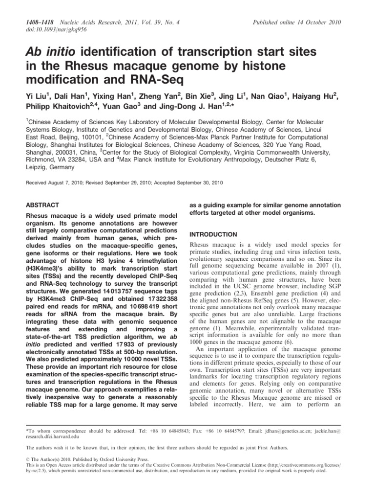Ab Initial Identification of Transcription Start Site in Rhesus Monkey ...