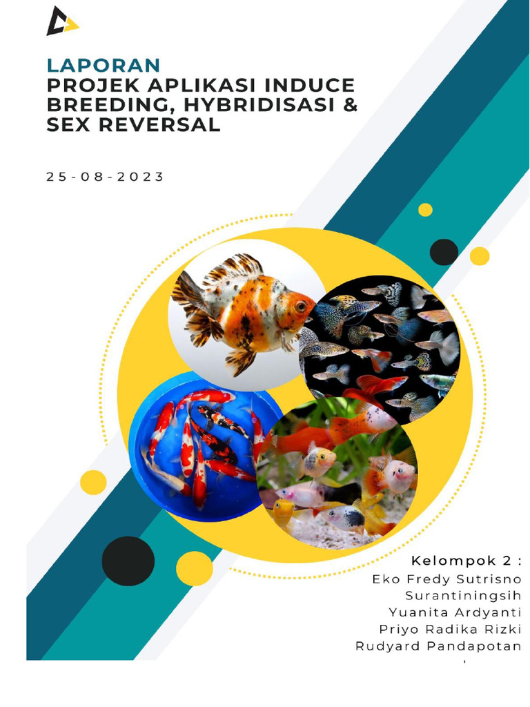 Laporan Project Kelompok 2 | PDF | Fishkeeping | Wellness