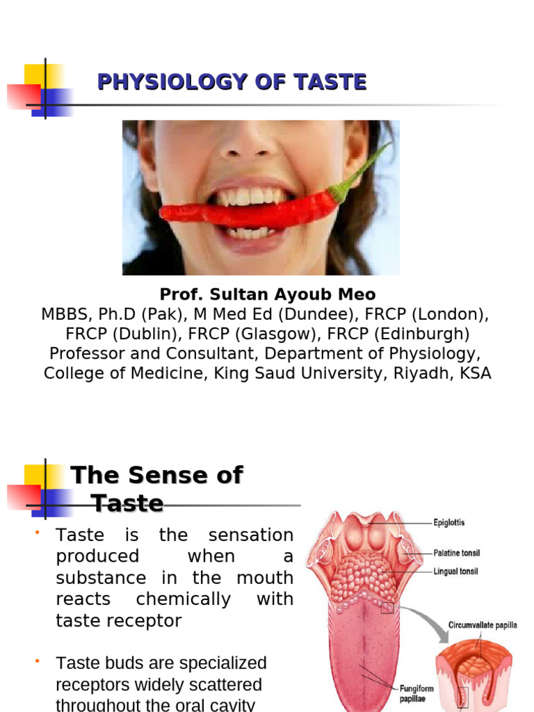 Physiology of Taste and Smell Explained | PDF | Taste | Foreign ...