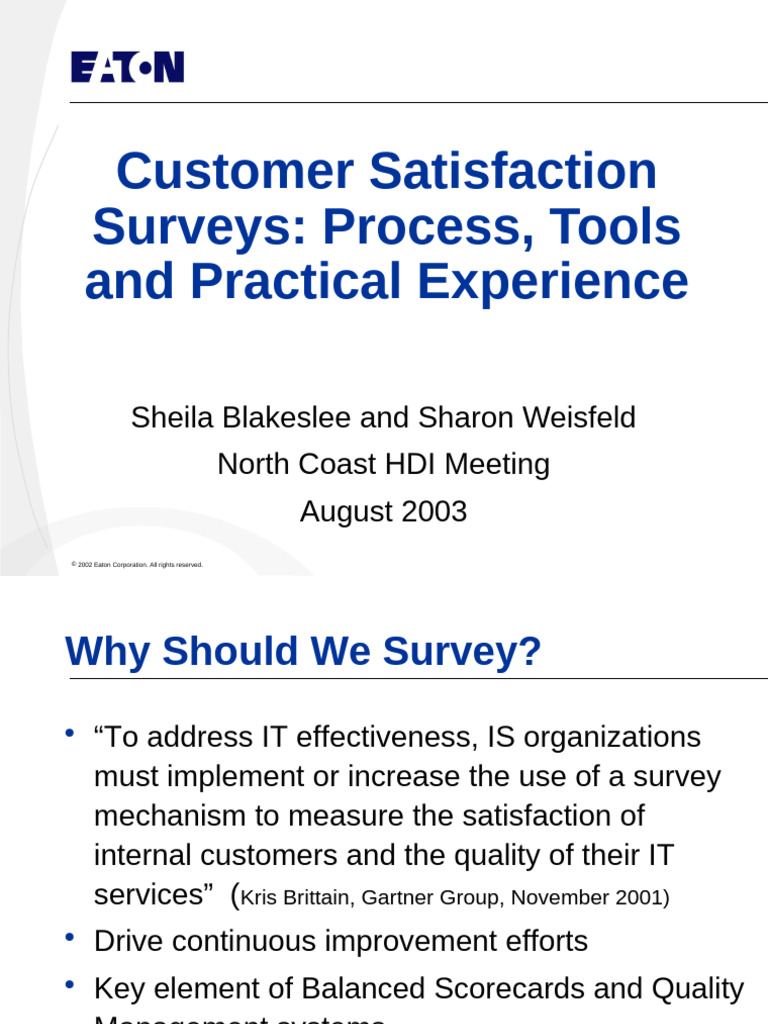 Customer Satisfaction Surveys | PDF